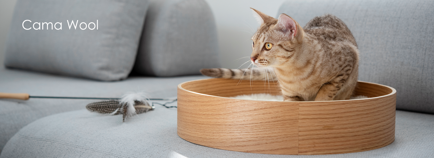 Coleção Wool - Microlote – Woolie